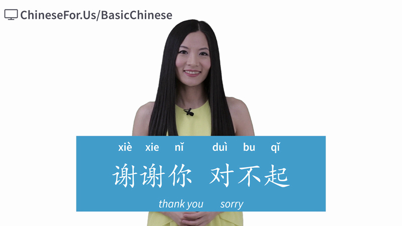 Useful Expressions in Chinese | Complement 不起 - ChineseFor.Us